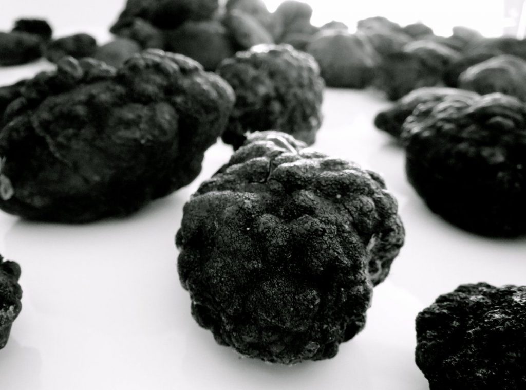 ISA Fact-check 2023/2 – Radioactivity of nodules - International Seabed ...