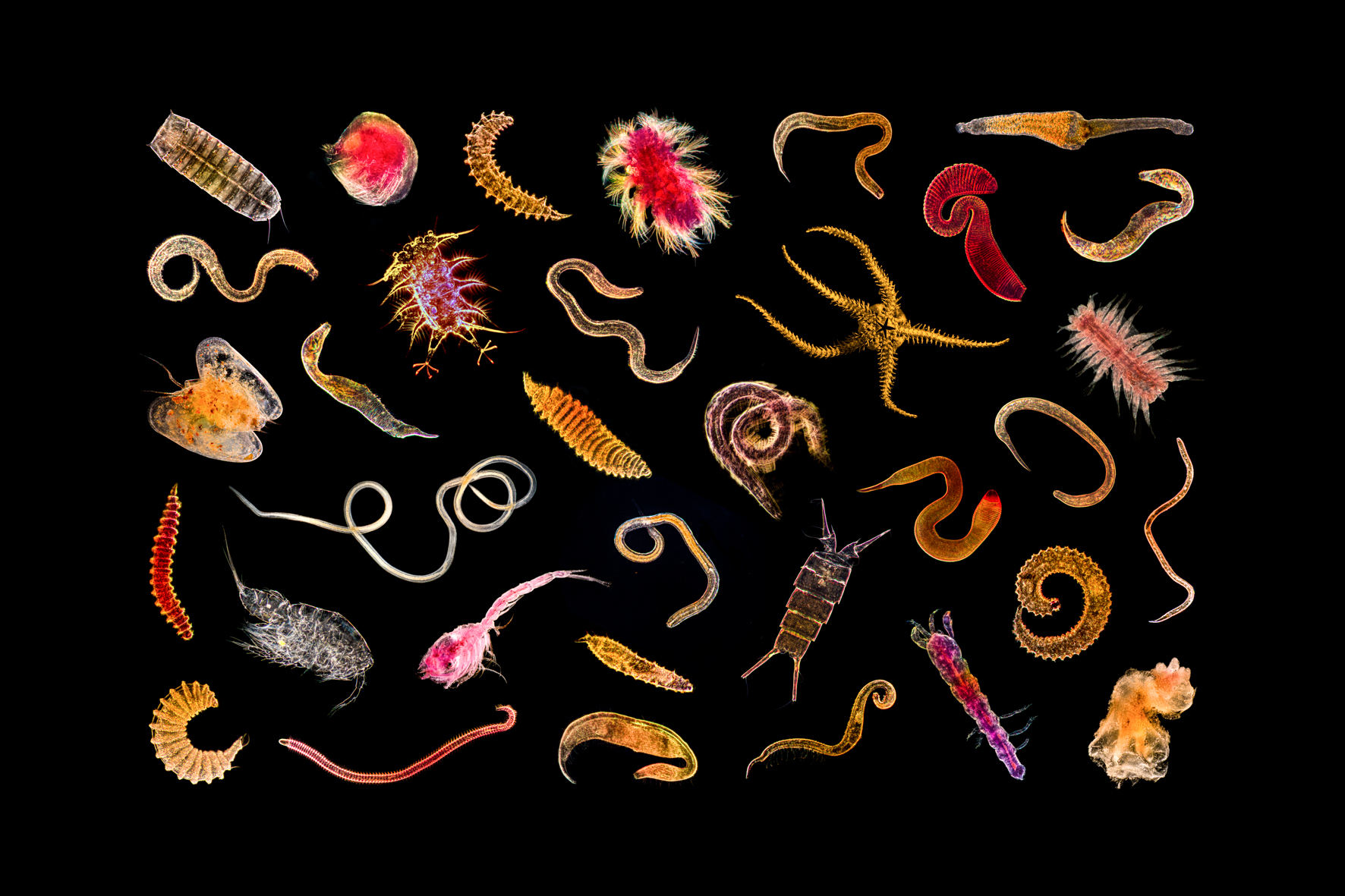 News - International Seabed Authority