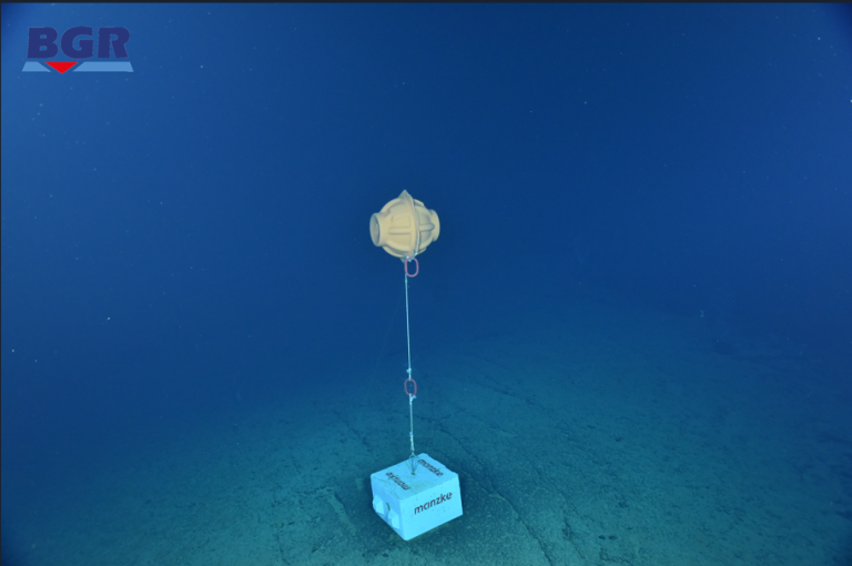 The International Seabed Authority’s DeepData joins the Ocean Data and ...